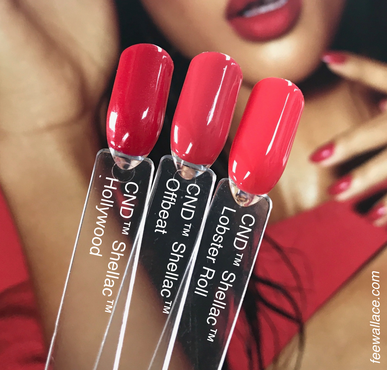 CND™ BOHO SPIRIT Collection – Shellac™ & Vinylux™ – Fee Wallace Online